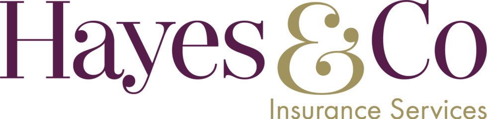 Hayes & Co Insurance Services | Award-winning financial advice for you ...